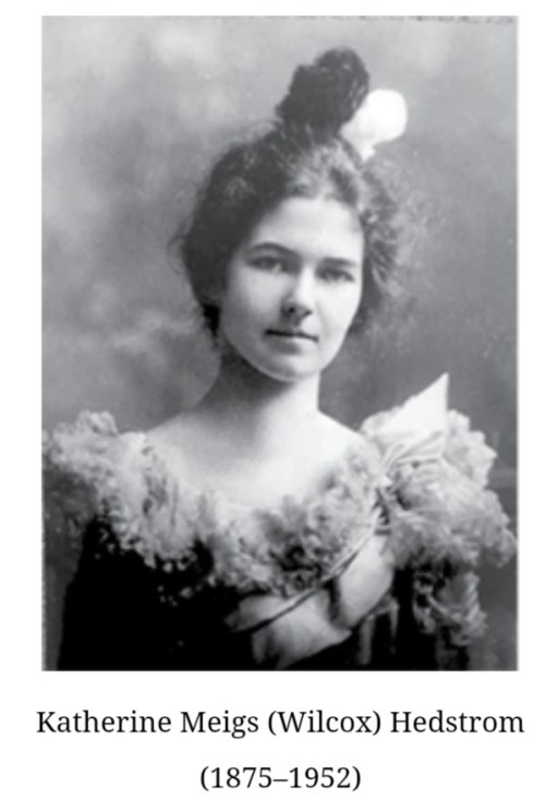 Hedstrom – Build a Country Estate that Turns into a Neighborhood, Get a ...